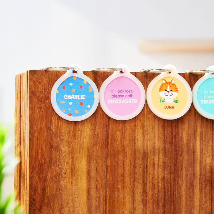 Personalized Dog Name Tags - Dog Name Tags