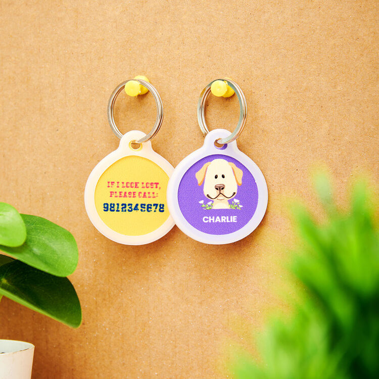 Personalized Dog Name Tags - Dog Name Tags