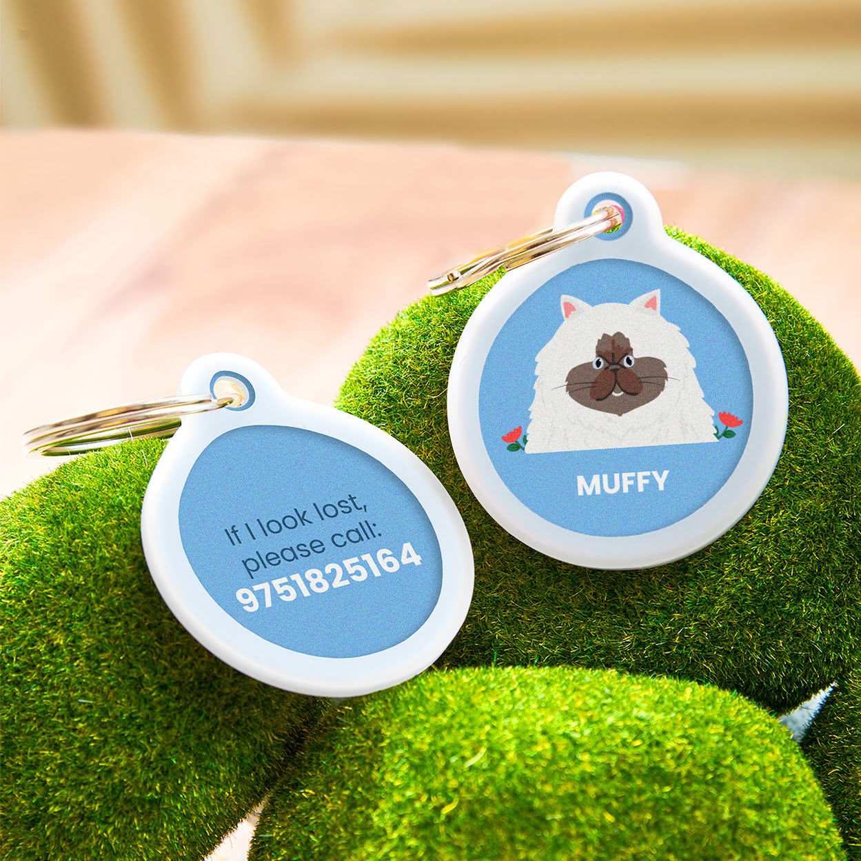 Himalayan Cat Personalized Dog Name Tags | Zoomin