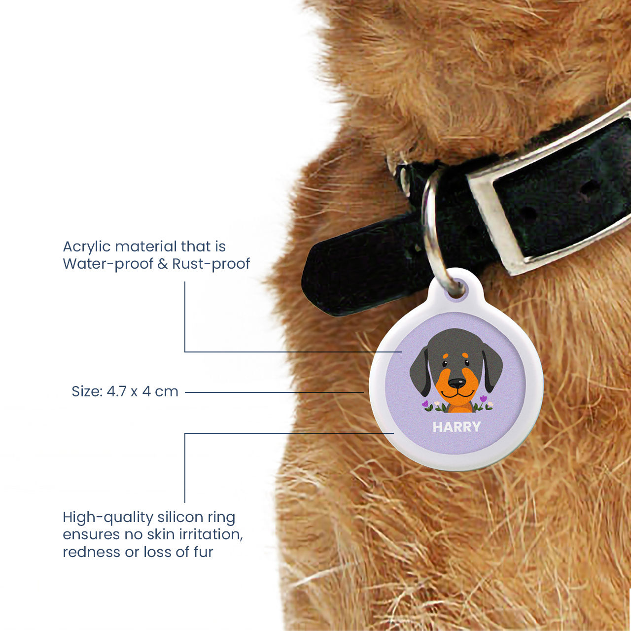 Tibetan Mastiff Personalized Dog Name Tags | Zoomin