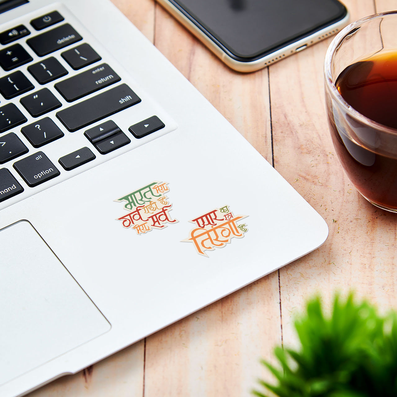 Desh Bhakti Laptop Stickers | Zoomin